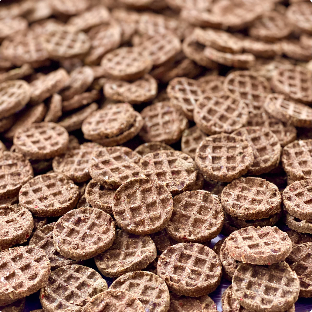 Well Kept Rabbit Mini Waffles | Triangle Rabbits