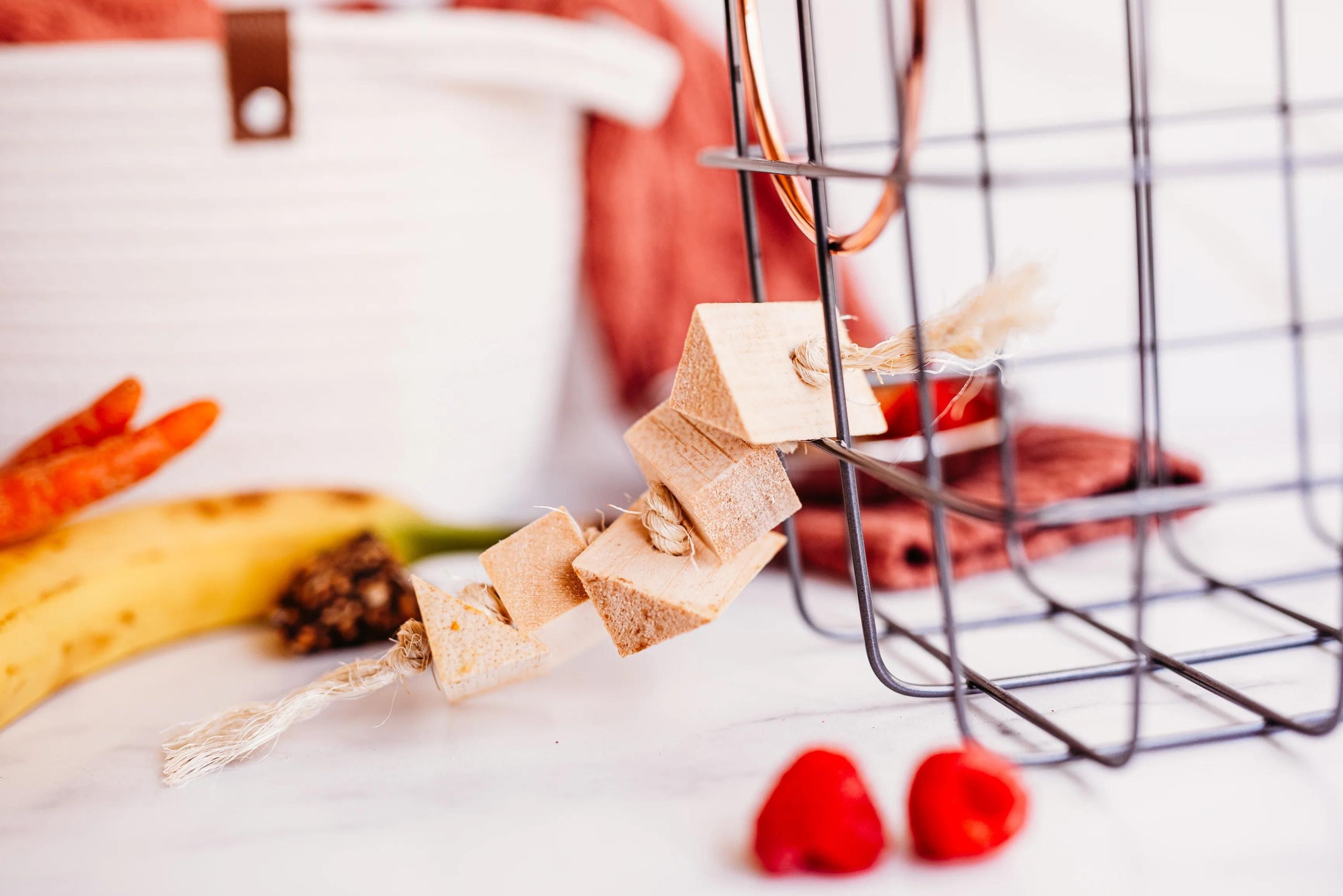 Fun4Bunnies Tropical Fruit Fling | Triangle Rabbits